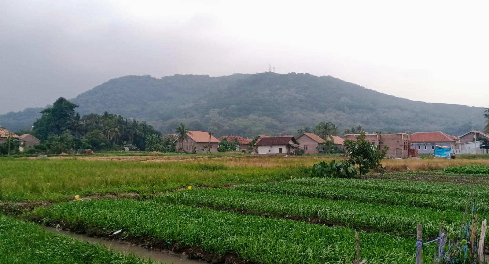 Pemerintahan Desa – Pejaten Mandiri